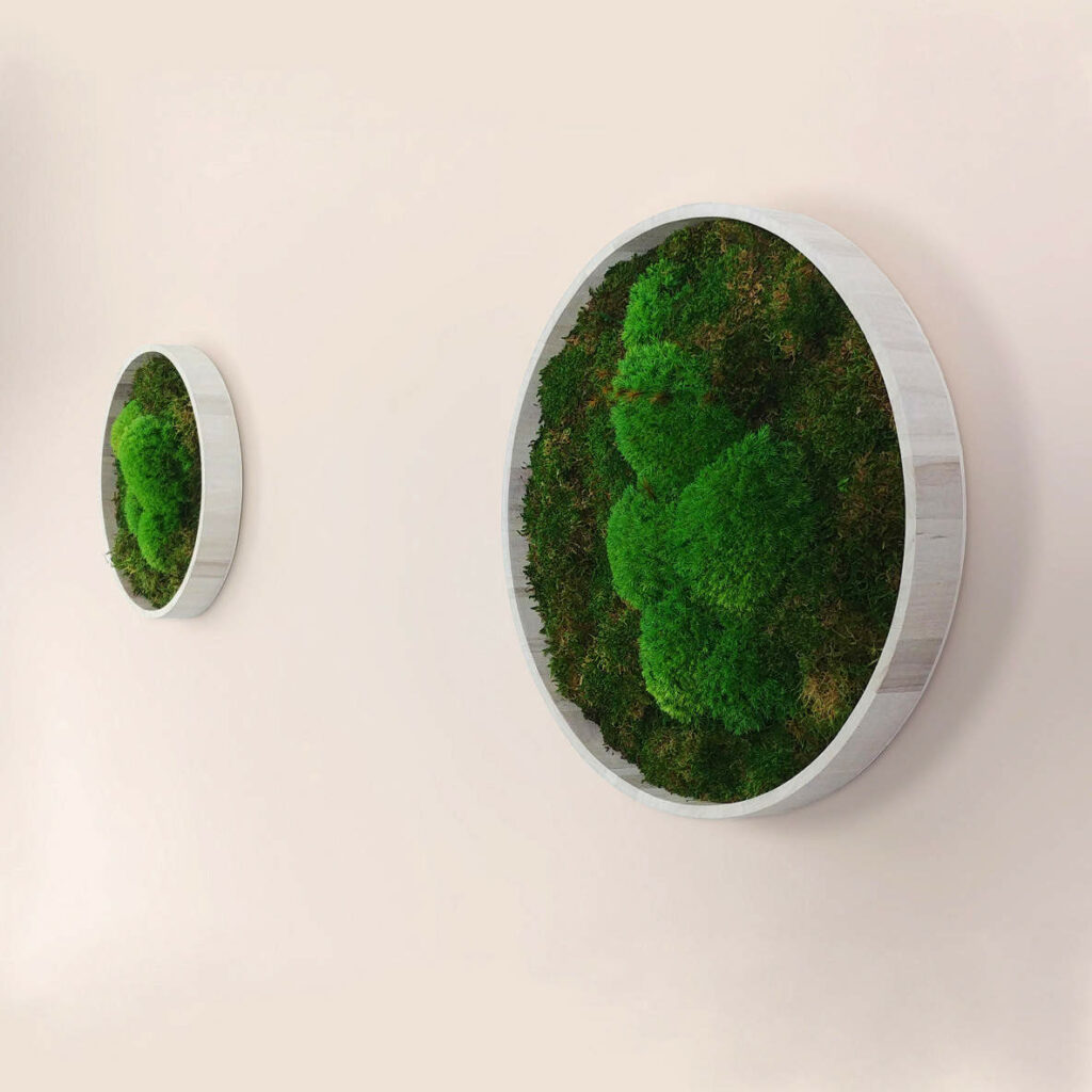 runde Moosbilder 2er-Set | Hügelland | Kathis Moosbilder
