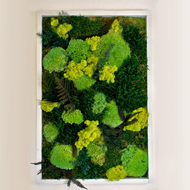 Dein Moosbild, Dein Mooslogo, Deine Mooswand - Dein Wunsch?